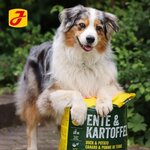 Soma Pet Shop (Manisa, Soma, Kurtuluş Mah., Fatih Cad., 38/1), petshop  Soma'dan