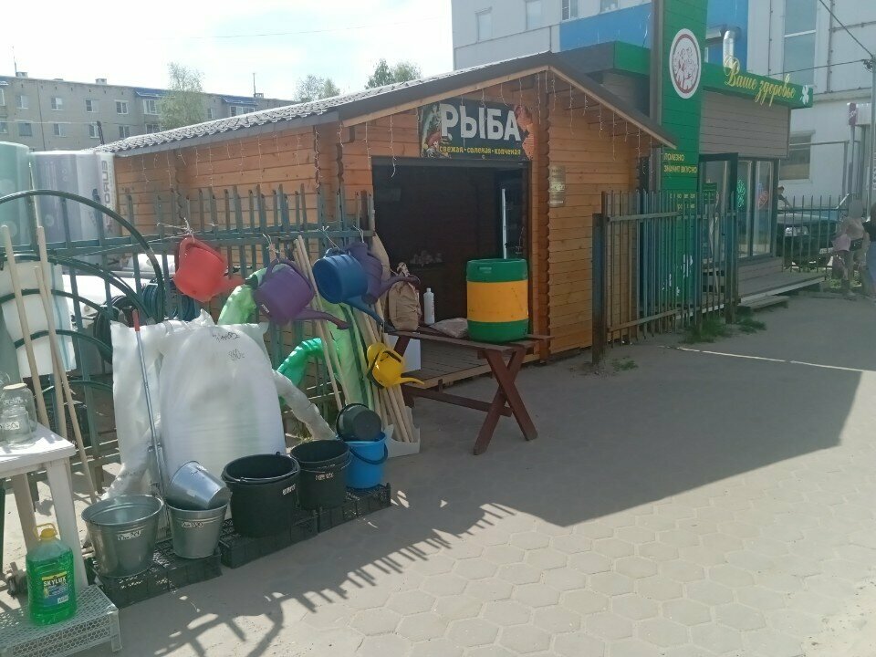 Balık ve deniz ürünleri Рыба, Kotlas, foto