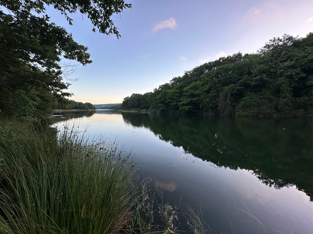 Piknik alanı Göktürk Gölet Piknik Alanı, İstanbul, foto