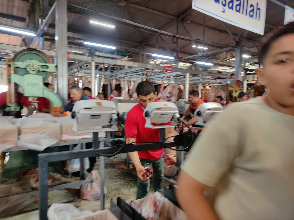 Hayvancılık Üstün Kardeşler, Konya, foto