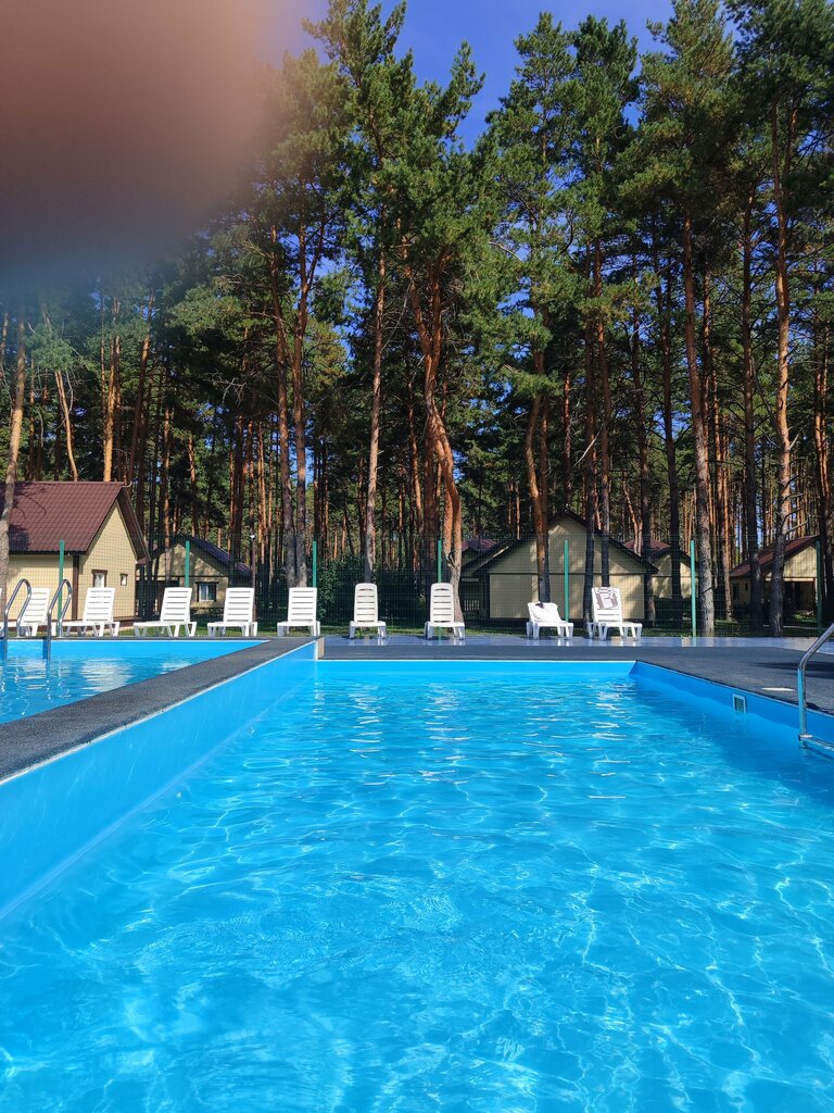 Resort oteller, tesisler Pine Forest Chalet, Samarskaya oblastı, foto