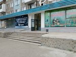 Pet Shop (Mıhaelıs kóshesi No:20), petshop  Öskemen'den (Ust‑Kamenogorsk'tan)
