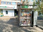 Пресса (Zelyonaya Street No:31А), gazete bayi  Kolomna'dan