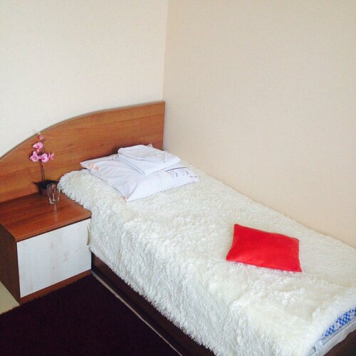 Otel Zolotoy lev, Nijegorodskaya oblastı, foto