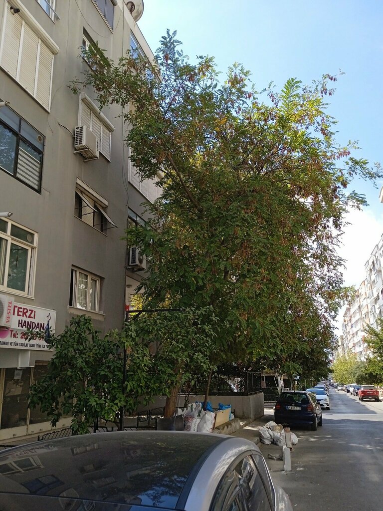 Terziler Terzi Handan, İzmir, foto