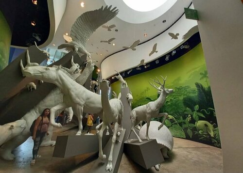 Müzeler ve sanat galerileri Biomuseo, Dünya, foto