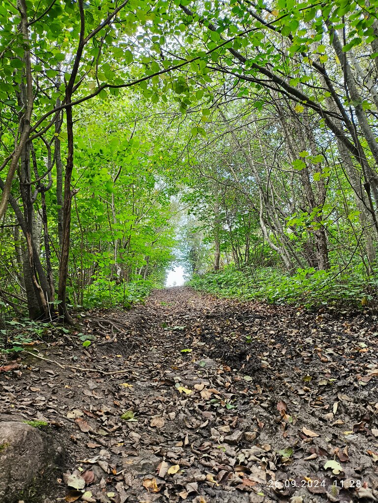 Seyir terası Смотровая площадка, Pskovskaya oblastı, foto