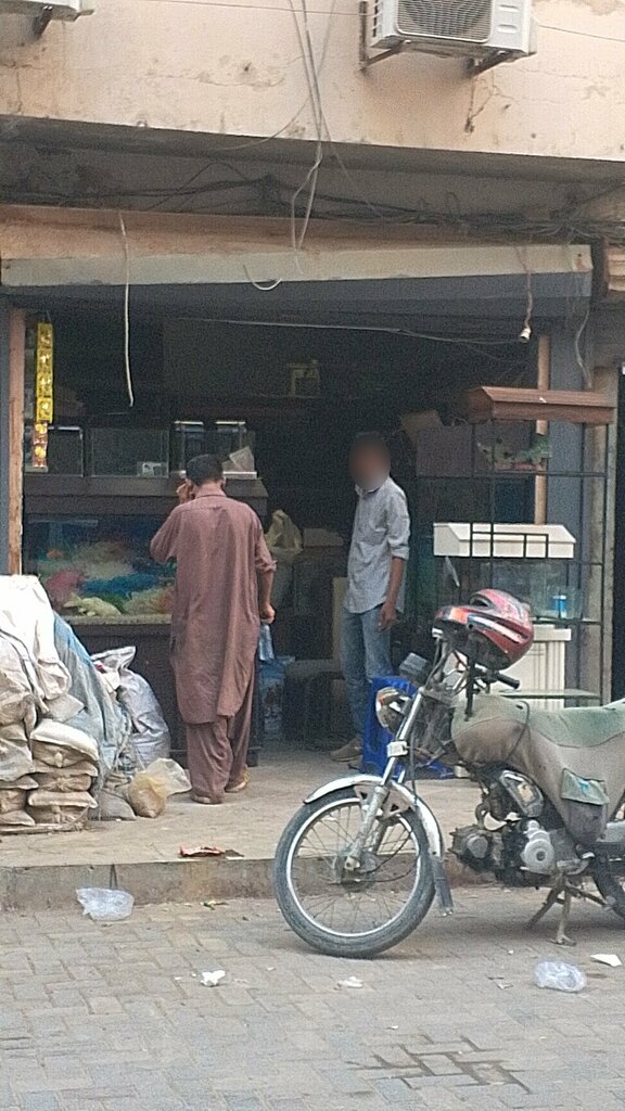 Market Fish Point, Karaçi, foto