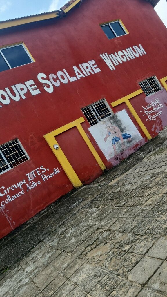 i̇lkokul Groupe Scolaire Wingnium, Abican, foto