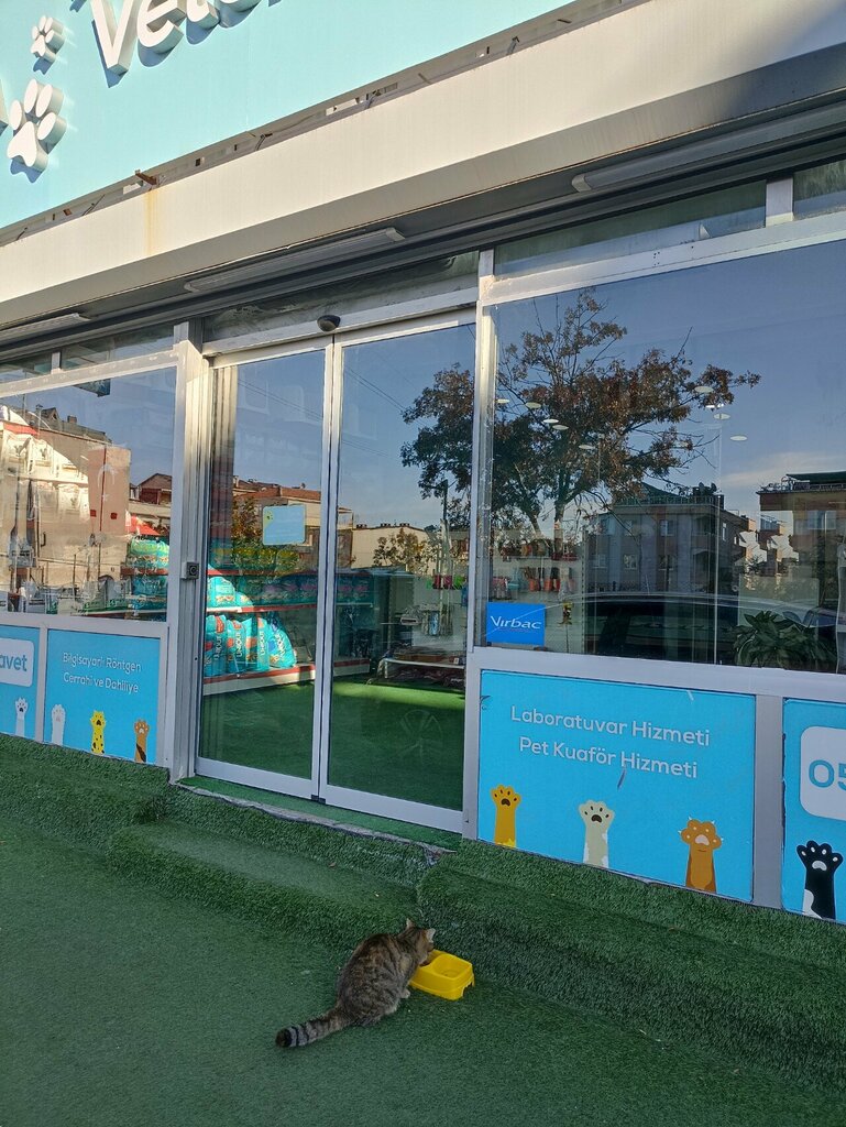 Veteriner klinikleri Akça Veteriner Kliniği, İstanbul, foto