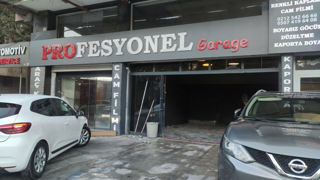 Otomobil servisi Oto Profesyonel, İstanbul, foto