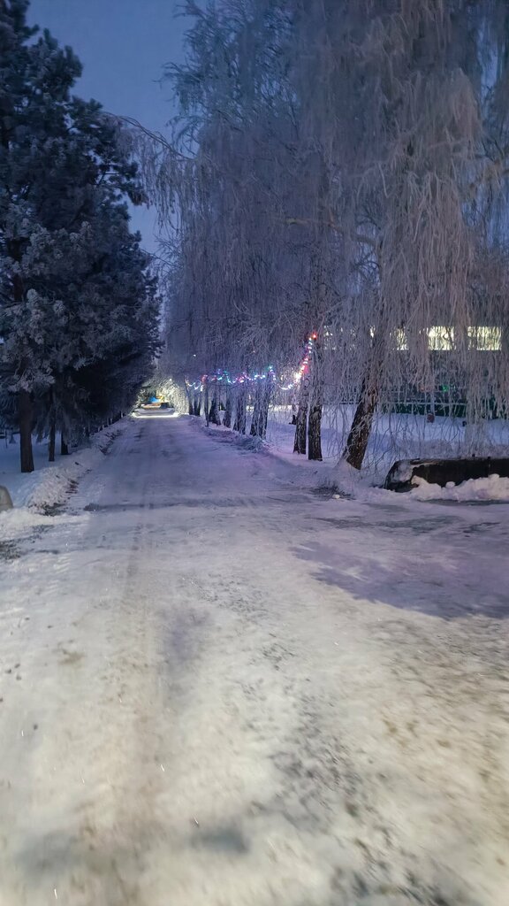 Tatil altyapısı Санаторий Евромед, корпус № 2, Omskaya oblastı, foto