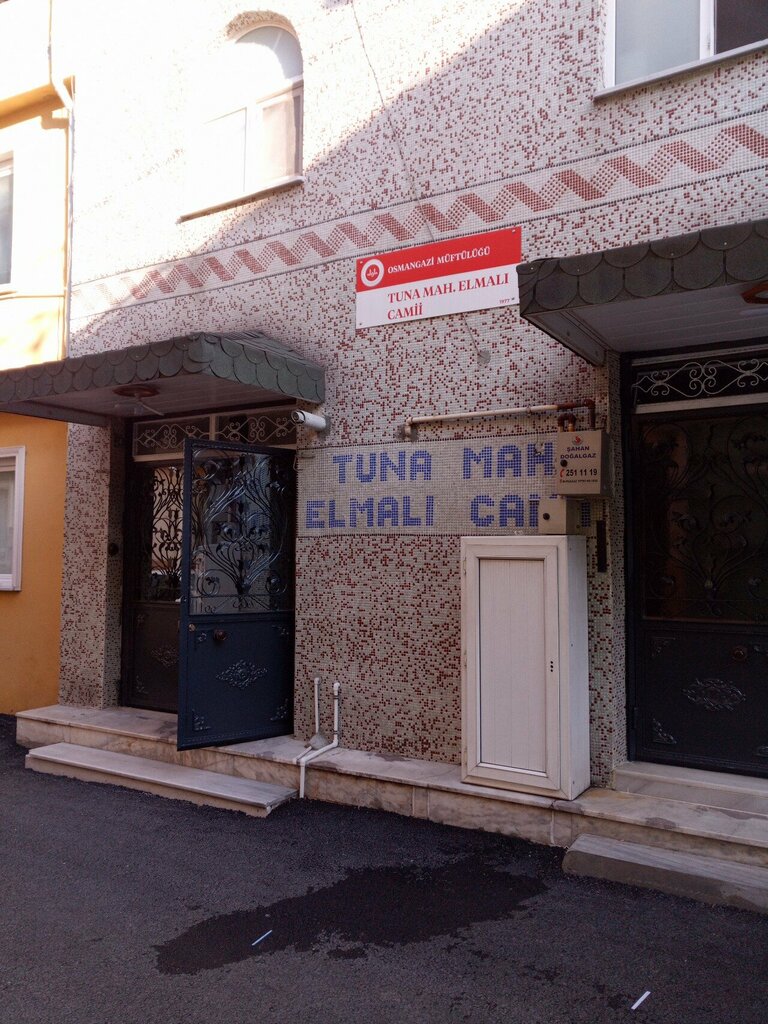 Cami Tuna Mahallesi Elmalı Camii, Bursa, foto