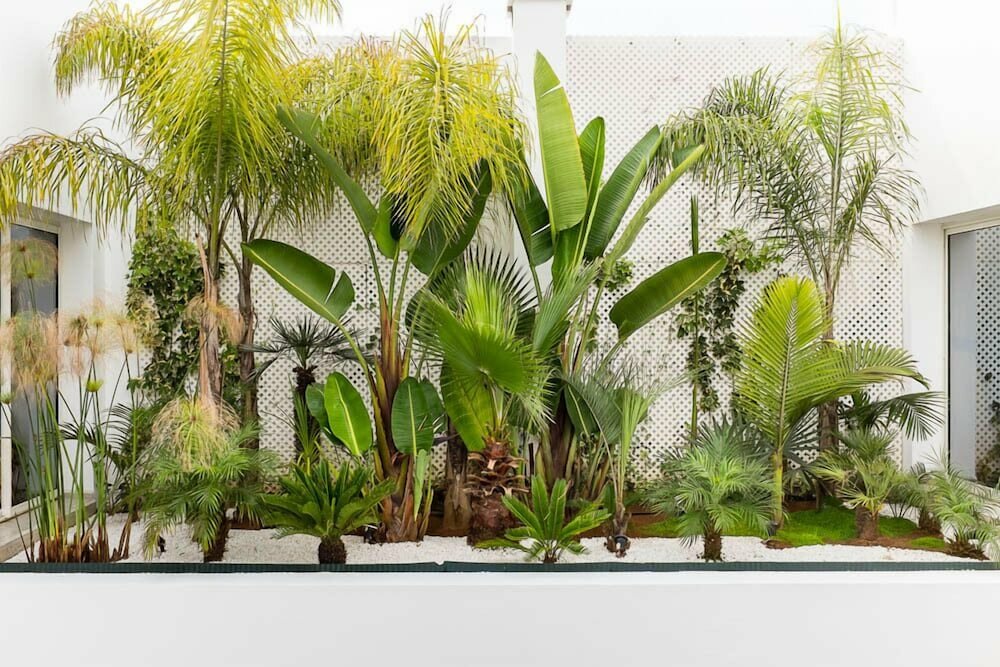 Otel Riad Zyo, Rabat, foto