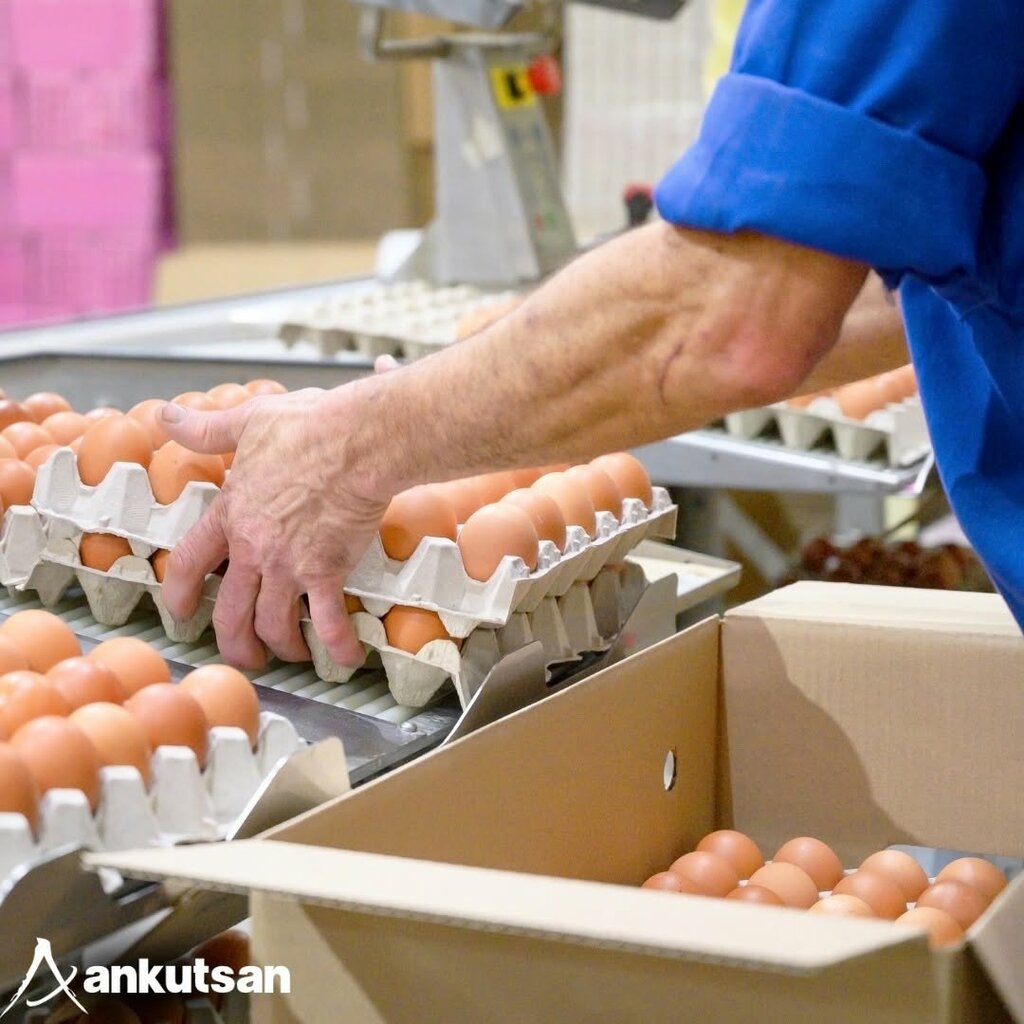 Paketleme malzemeleri firmaları Ankutsan, Çerkezköy, foto