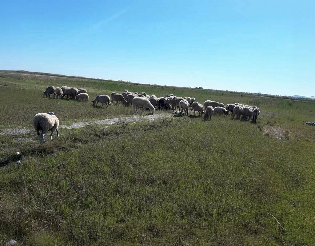 Afet ve acil durum toplanma alanı Toplanma Alanı - Rasim Eser Çocuk Parkı, Silifke, foto