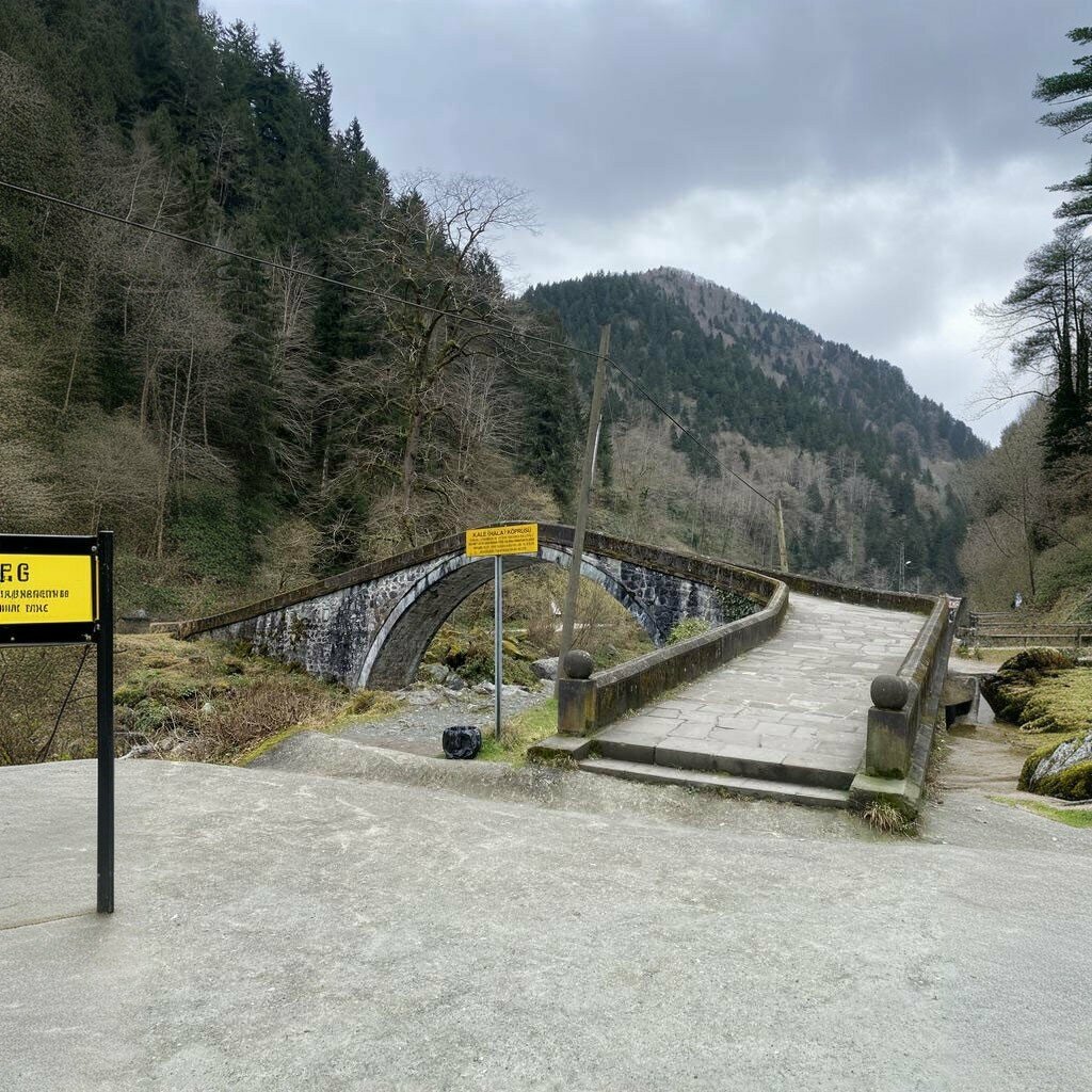 Turistik yerler Kale Hala Köprüsü, Çamlıhemşin, foto