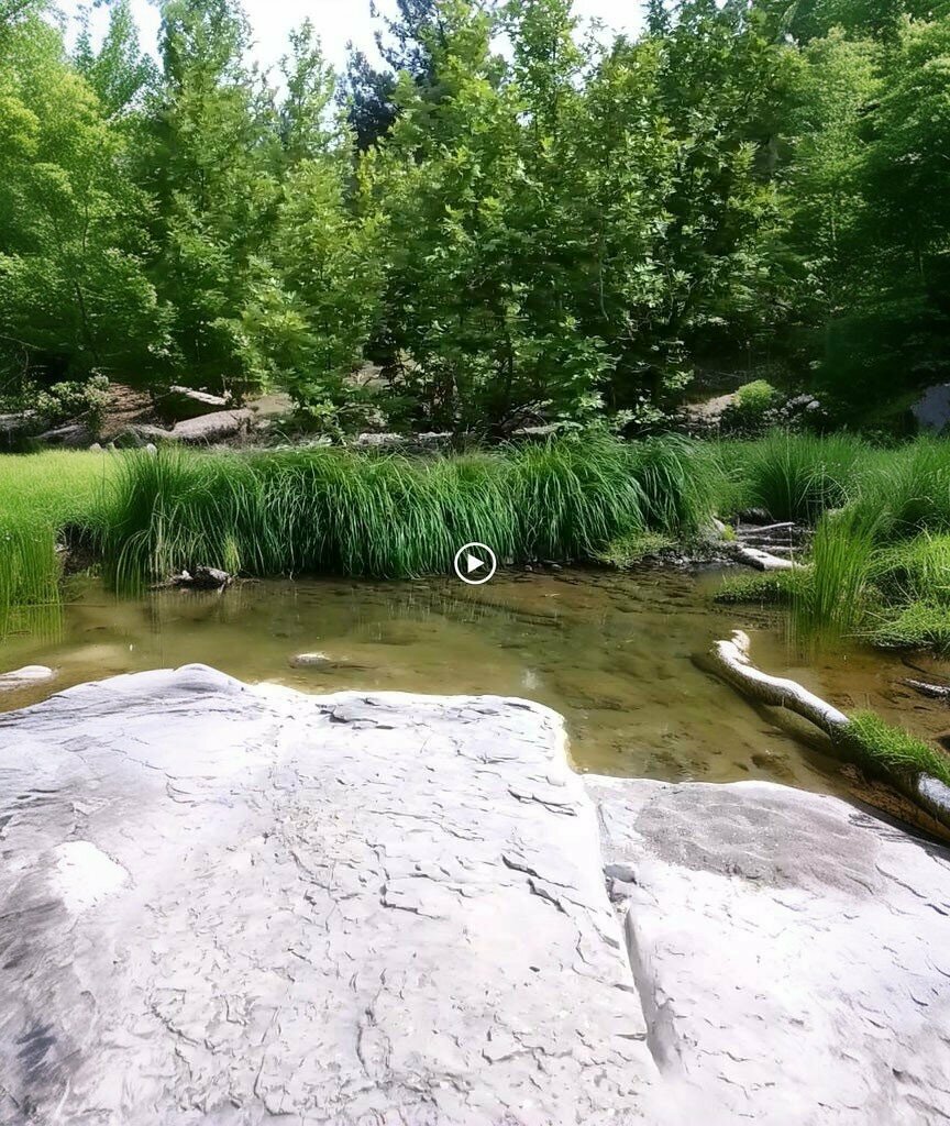 Muhtarlıklar Kocabaşlar Köy Muhtarlığı, Lapseki, foto