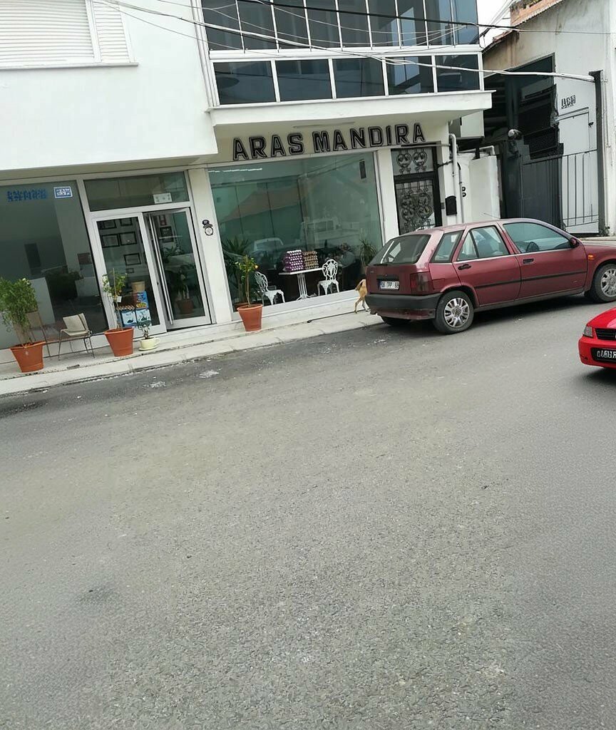 Süt ürünleri satış mağazaları Aras Mandıra, Aliağa, foto