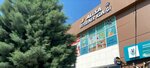 Uşak Alisa Veteriner Kliniği (Uşak, Uşak Merkez , Durak Mah., TOKİ Uşak Konutları, A1 Blok), veteriner klinikleri  Uşak'tan