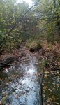 Spring, stream (Voronezh Region, Ramonskiy rayon, Yamenskoye selskoye poseleniye), pınar, çay  Voronejskaya oblastından