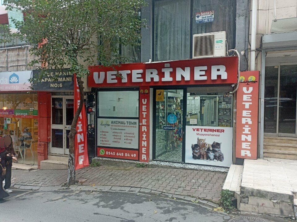 Veteriner klinikleri Animal Town Veteriner Kliniği, İstanbul, foto