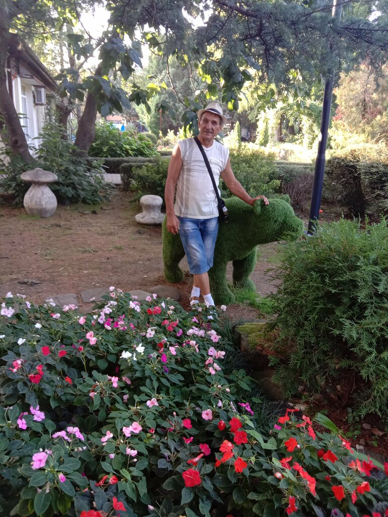 Yaz kampı Маяк, Volgodonsk, foto