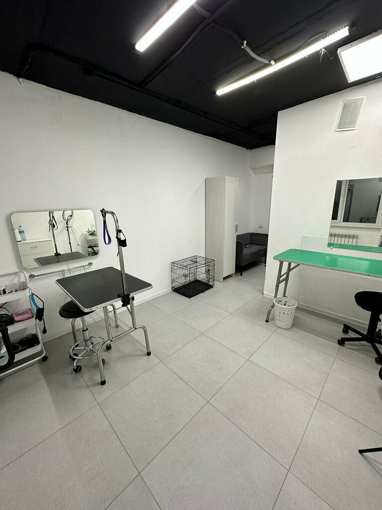 Evcil hayvan kuaförleri Gruming Yulii Mel'nikovoy, Penzenskaya oblastı, foto