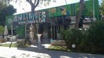 Maldives Cafe & Nargile (Antalya, Alanya, Ahmet Tokuş Blv., 40/1), nargile kafeler  Alanya'dan