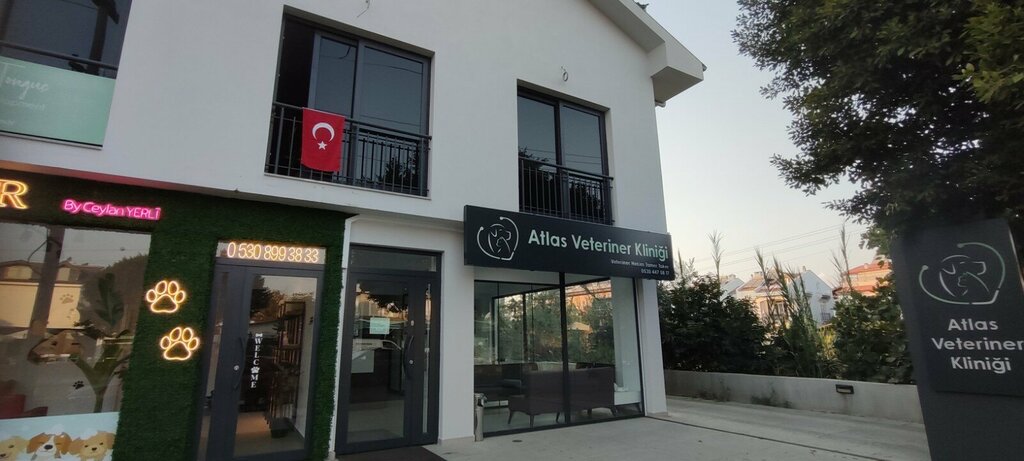 Veteriner klinikleri Atlas Veteriner Kliniği, Fethiye, foto