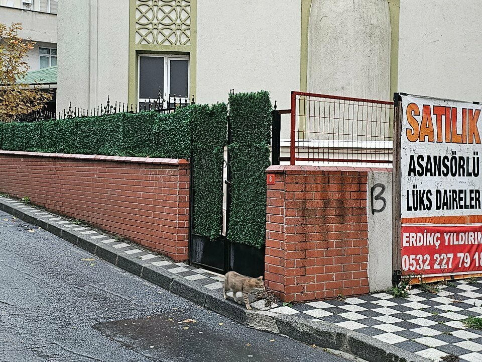 Cami Selim Hoca Camii, İstanbul, foto