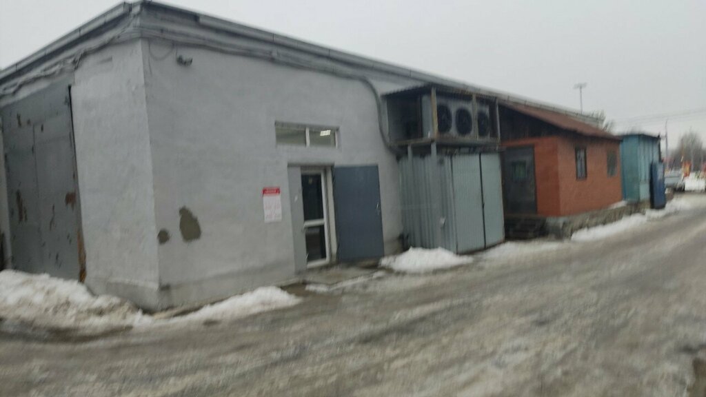 Petshop Аквариум 45, Kurgan, foto