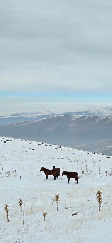 Dağ zirvesi Urts, Ararat, foto