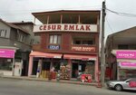 Cesur Emlak (Vatan Mh., Atatürk Cd., No: 36, Serdivan, Sakarya), emlak ofisi  Serdivan'dan