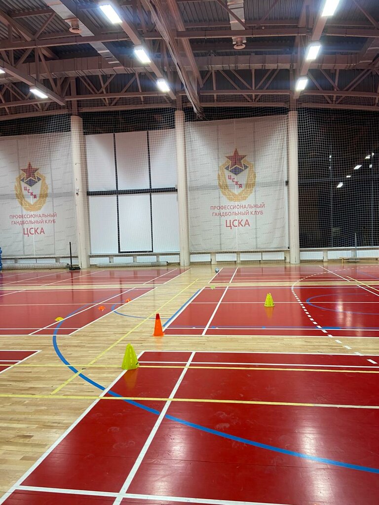 Spor kulüpleri Viking, Krasnogorsk, foto