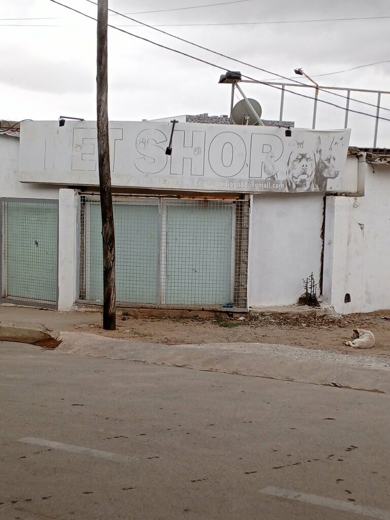 Petshop Pet shor, Loanda, foto