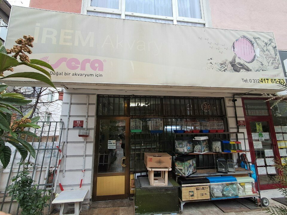 Petshop İrem Akvaryum, Ankara, foto