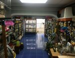 Erenler Evcil Hayvanlar (Sakarya, Erenler, Tabakhane Mah., 4023. Sok., 19), petshop  Erenler'den