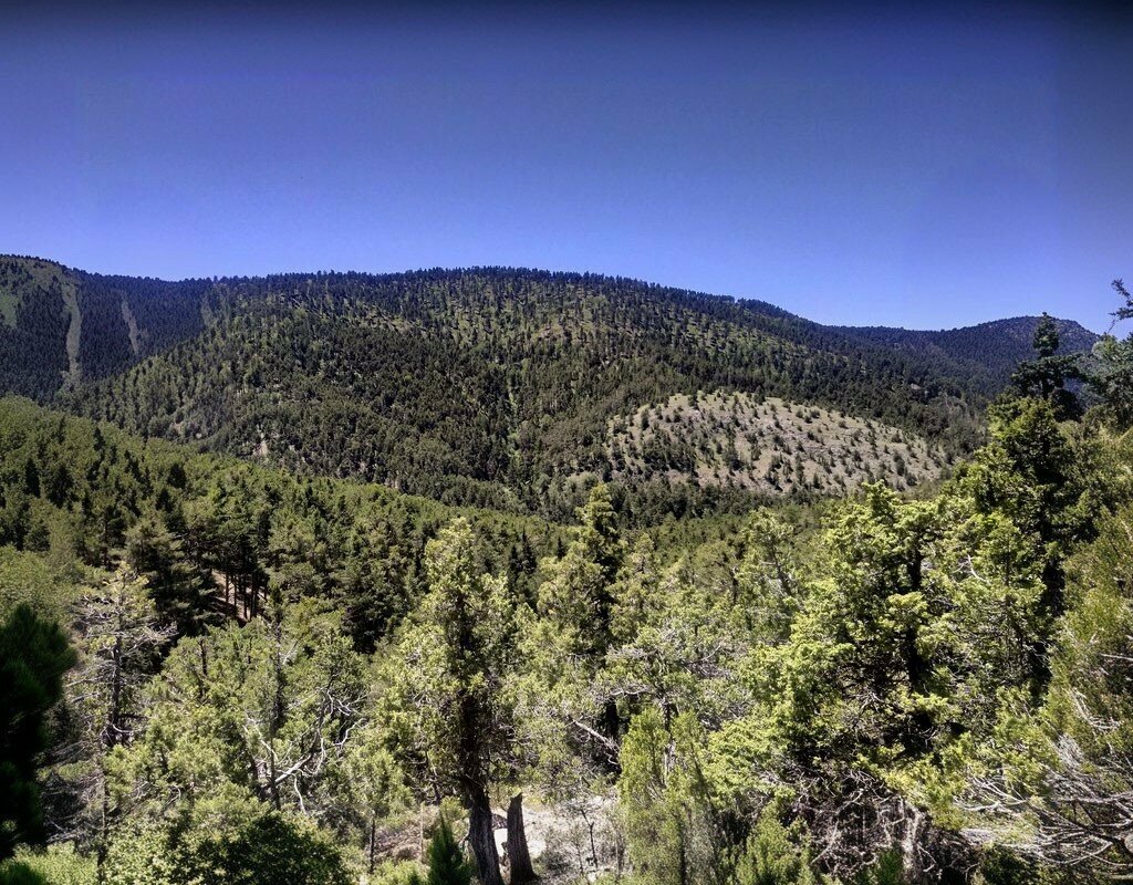 Konut blokları Yozgat Çayıralan Evciler, Çayıralan, foto