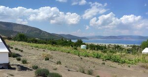 Robinson Lavanta (Burdur, Yeşilova, Kayadibi Mah.), bahçe  Yeşilova'dan