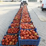 Kılıçaslan Kasabı (Afyonkarahisar), kasap, şarküteri  Sinanpaşa'dan