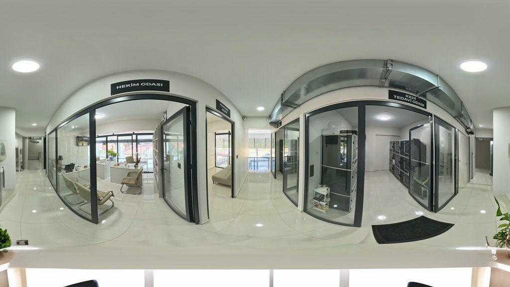 Veteriner klinikleri Lifeline Veteriner Polikliniği, Mersin, foto