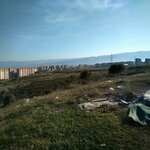 Güneyler Besi Çiftliği (Kocaeli, Derince, Yenikent Mah., Bilecen Sok.), hayvancılık  Derince'den