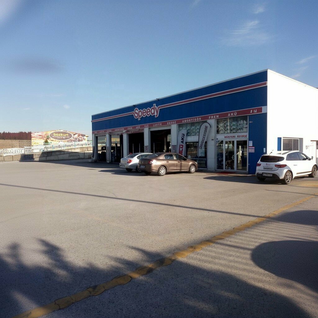 Otomobil servisi Speedy Türkiye İzmit, Başiskele, foto