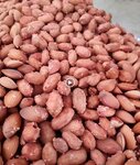 Tuzcuogllari Birecik fistigi (Şanlıurfa, Birecik, Sancak Mah.), kuruyemiş, atıştırmalık, kuru meyve  Birecik'ten