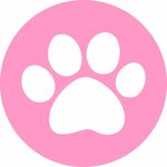 Зоо Лапа (ulitsa Pervykh No:4к3, derevnya Novosaratovka), petshop  Saint‑Petersburg ve Leningradskaya oblastından