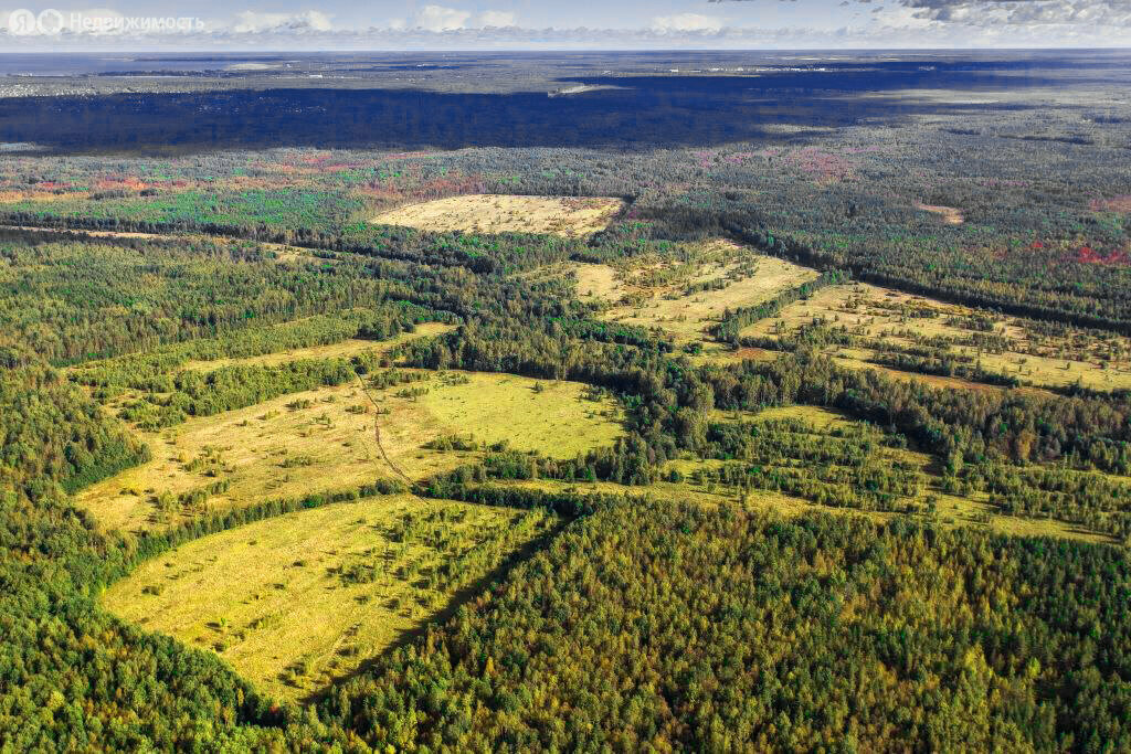 Yazlık yerleşim Подберезовик, Saint‑Petersburg ve Leningradskaya oblastı, foto