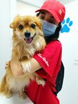 Brand Veteriner Muayenehanesi (İstanbul, Silivri, Yeni Mah., 7053 Sok., 20), veteriner klinikleri  Silivri'den