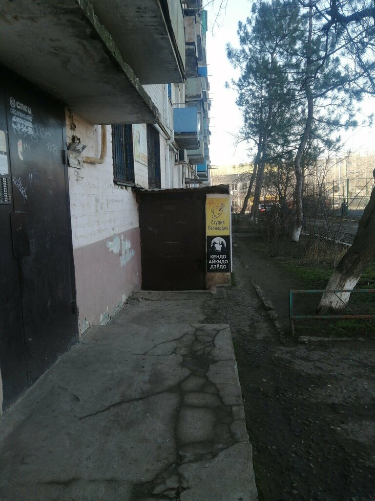 Web tasarım hizmetleri Леонардик, Elista, foto