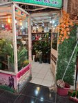 Gonca Çiçekçilik & Organizasyon (Adana, Seyhan, Obalar Cad., 26/A), fotoğraf hizmetleri  Adana'dan